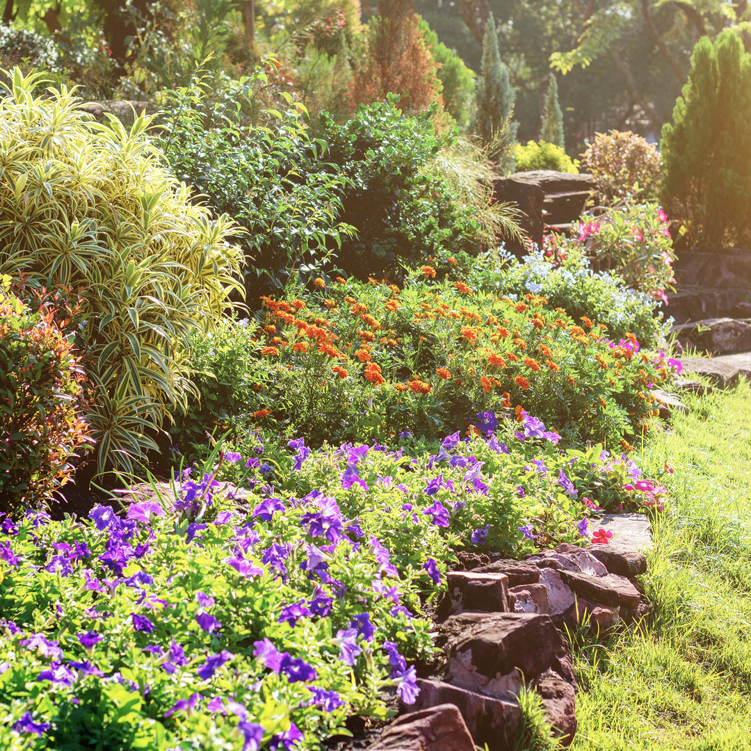 Calgary Pop Up – Glow Gardens Alberta